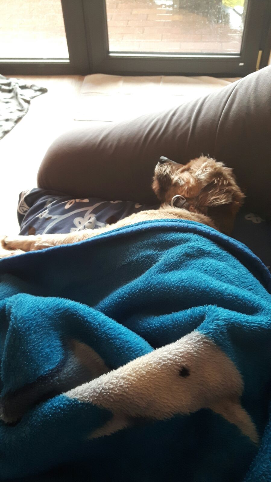 Sorel Juli 2016 | for-animals.de